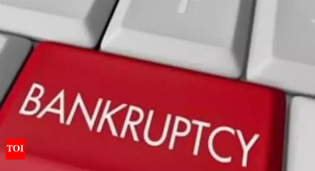 Bankruptcy: Government hints at new law for registered valuers - Times ...