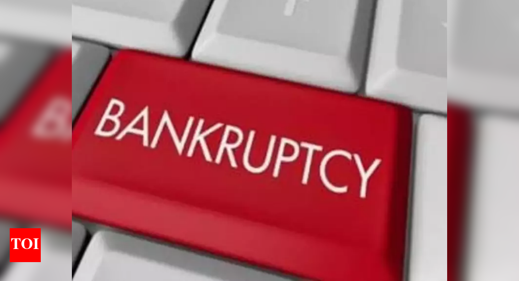 Bankruptcy: Government hints at new law for registered valuers - Times ...