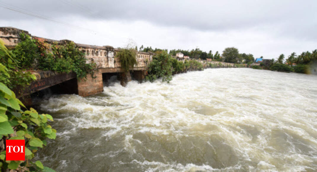 Karnataka, Tamil Nadu stare at flood crisis | India News - Times of India