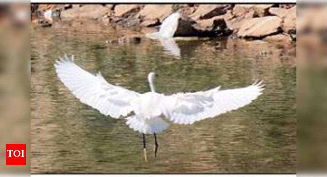 Rains In Bengaluru: Copious rain raises Bengaluru’s groundwater level ...