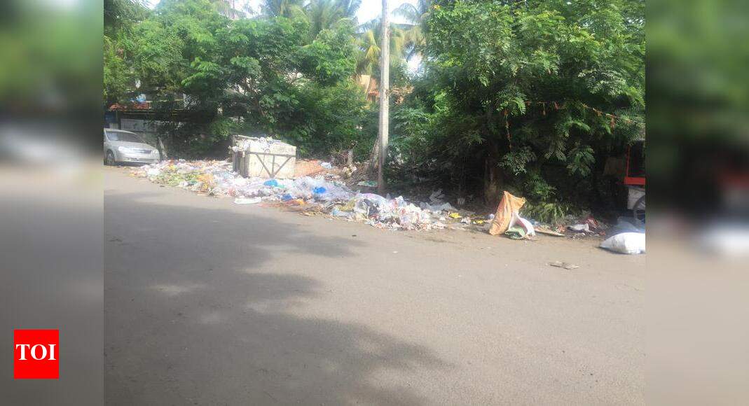 poor garbage waste collection - Times of India