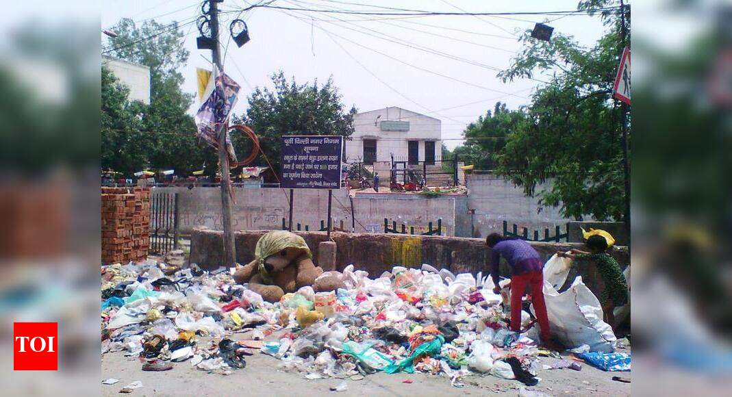 EDMC school looks out at trash - Times of India