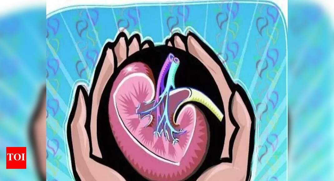 Brain-dead man’s organs give life to six | Pune News - Times of India