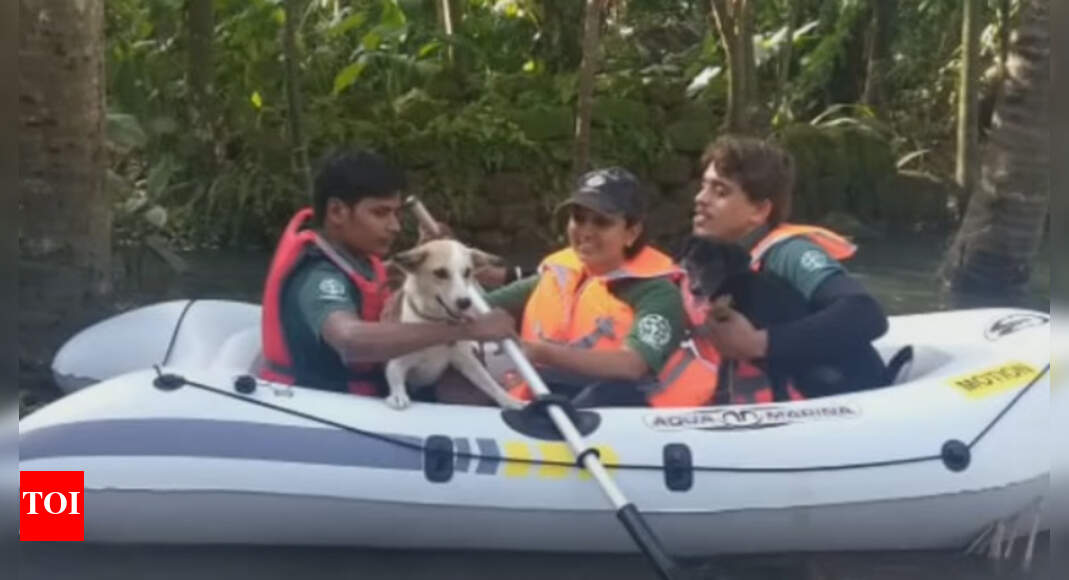 Sally Varma: It looked like a disaster movie, but we moved ahead to ...