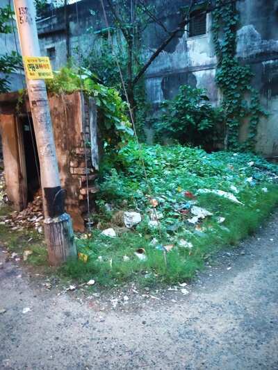 Garbage and most unhygienic place at Santoshpur - Times of India