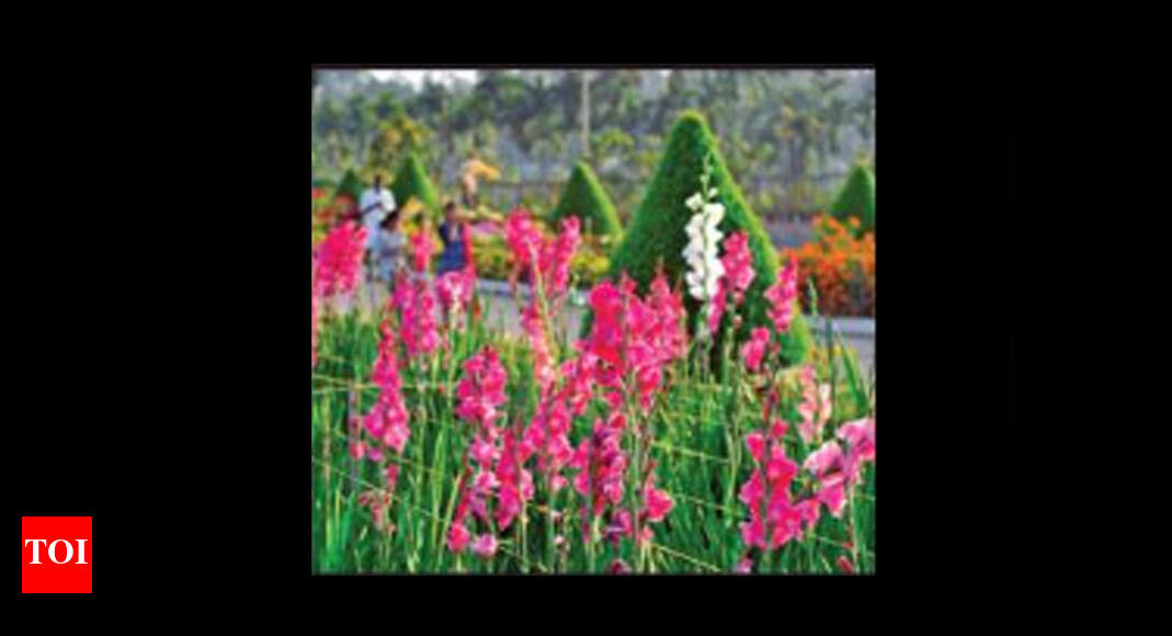 Flowery Road To Recovery: Wayanad to take a 'flowery' road to recovery ...