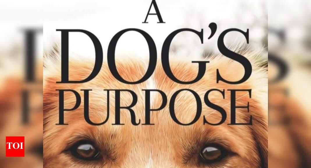 Betty Gilpin to star in 'A Dog's Journey' | English Movie News - Times ...
