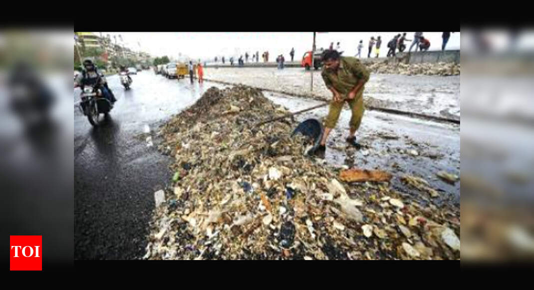 NIO: Currents, heavy rain caused sea to purge toxins | Goa News - Times ...