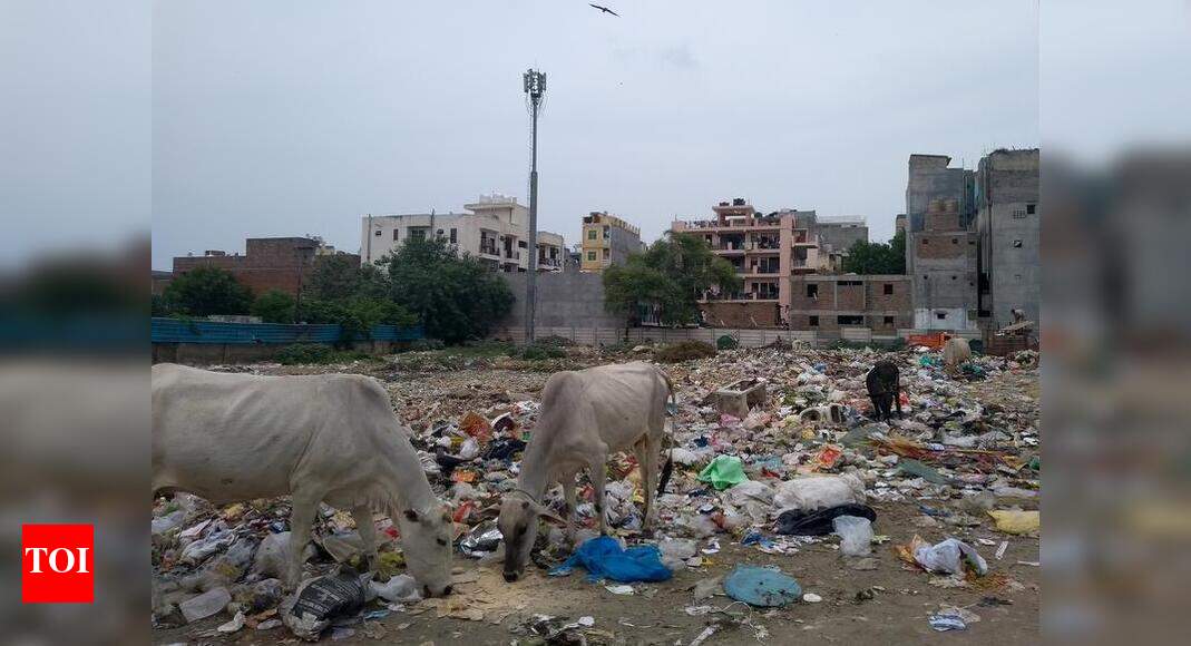 No door-to-door collection at villages in MCG limits, trash lands in ...