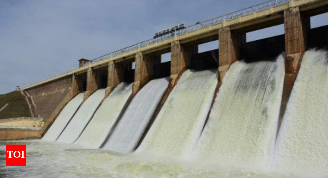 The truth about dams | India News - Times of India