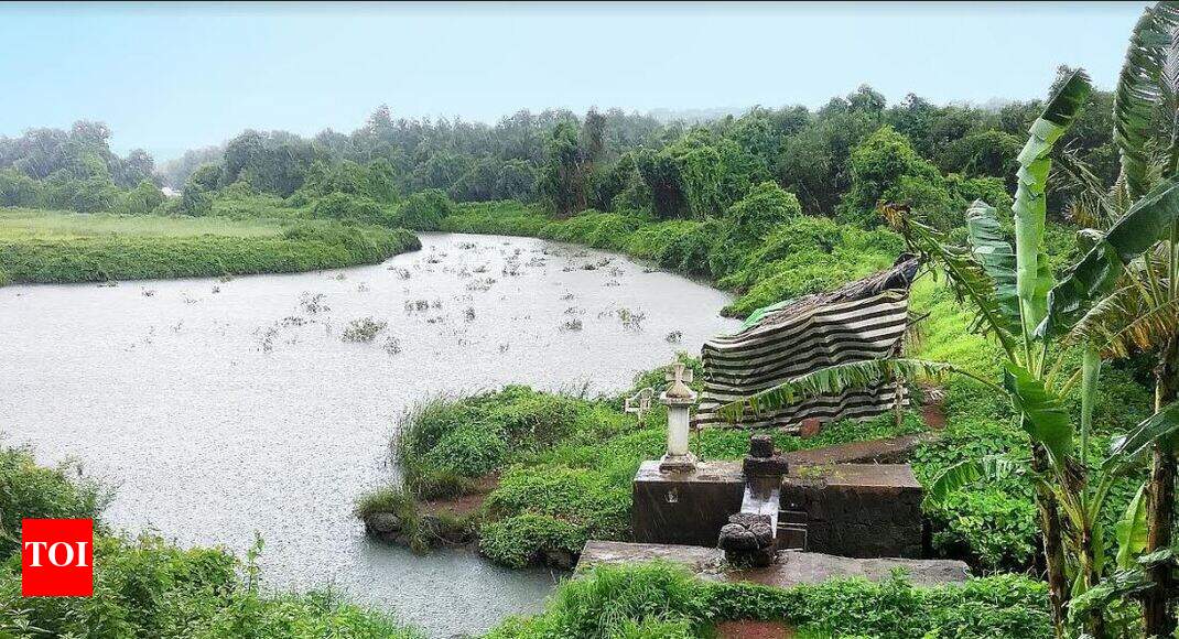 Village of Famed Bananas & ‘Wise Fools’ | Goa News - Times of India