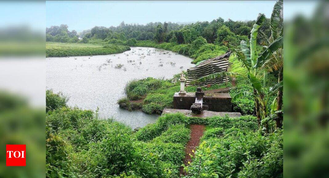 Village of Famed Bananas & ‘Wise Fools’ | Goa News - Times of India