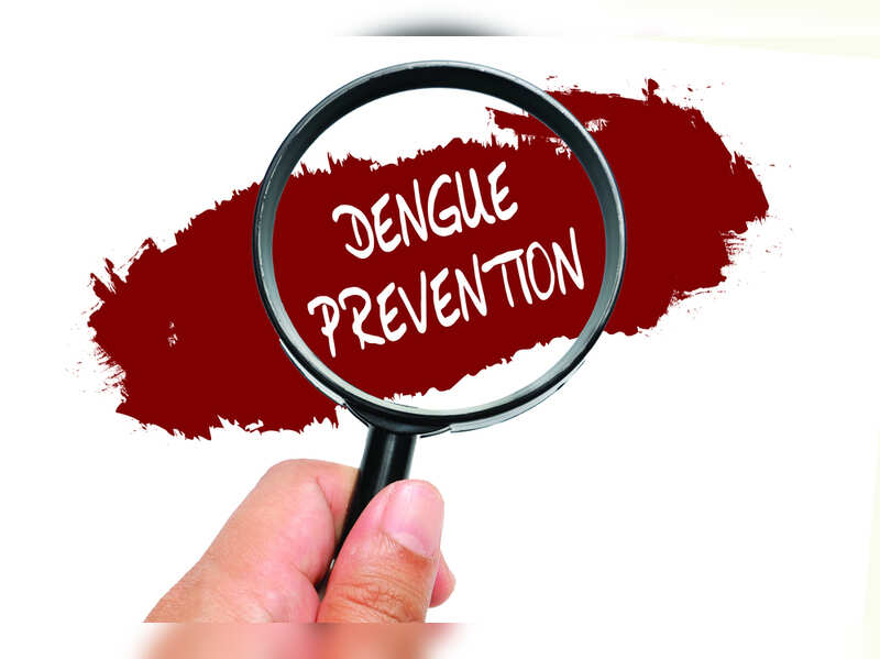 How to prevent dengue from spreading - Times of India