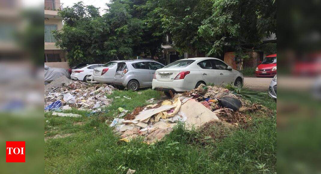 Where littering is a habit and open dumpyards common | Gurgaon News ...