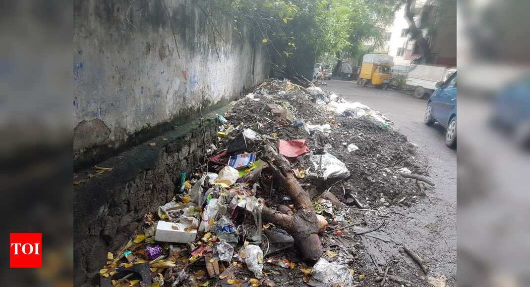 clean India mission - Times of India