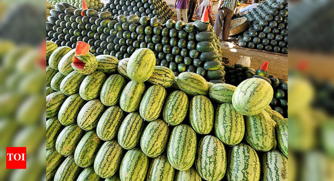 Agriculture minister for microclimatic studies of Goa’s endemic crops ...