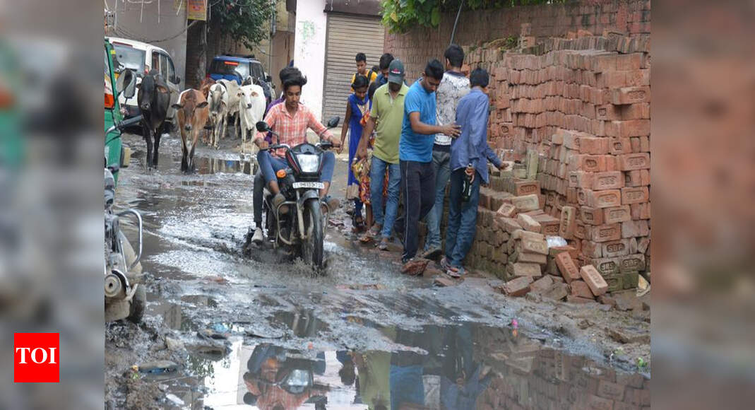 Cyber City and Nathupur: Next-door neighbours tell story of two ...