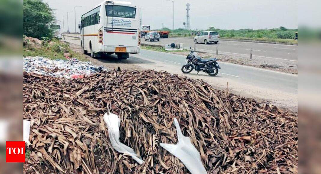 Along national highway, a 2km stretch of garbage | Gurgaon News - Times ...