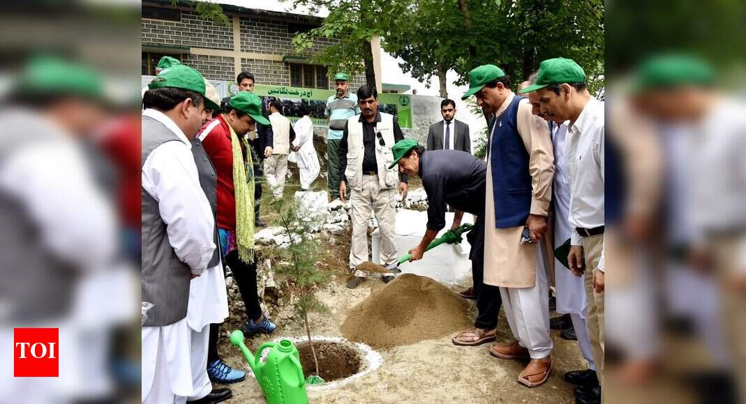 Pakistan's 'Tree Tsunami' to plant 10 billion trees in 5 years - Times ...