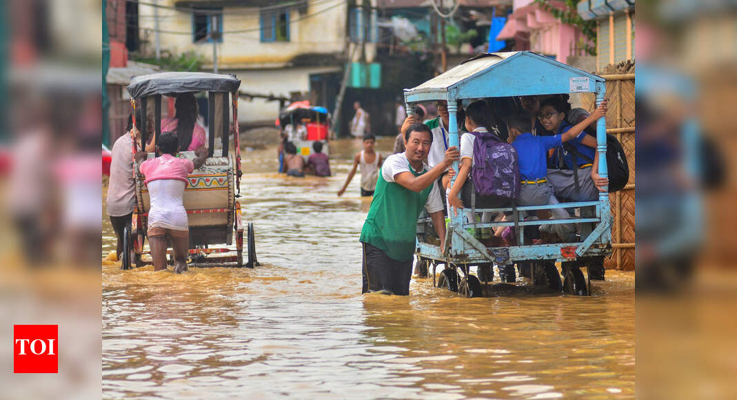 Nagaland requires Rs 800 crore for flood restoration work: Official ...