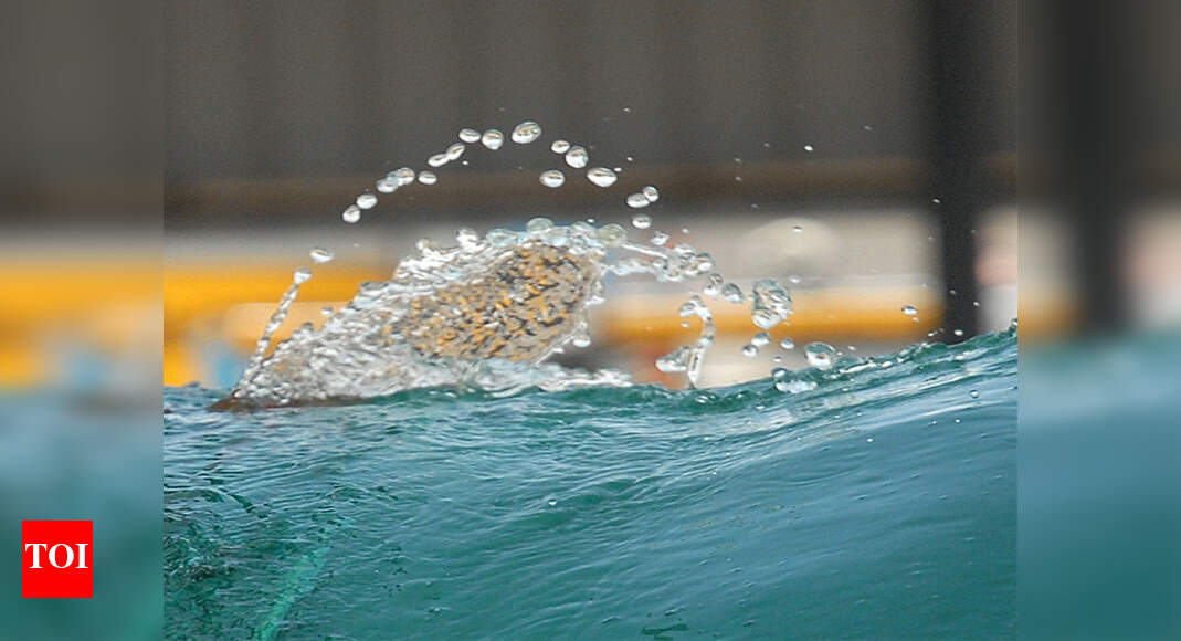 Rain Water: Desilting works begin in Valaatiyar tank to tap rain water ...