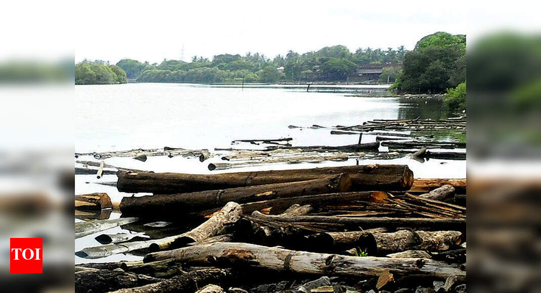 Kallayi river protection committee seeks eviction of encroachment ...