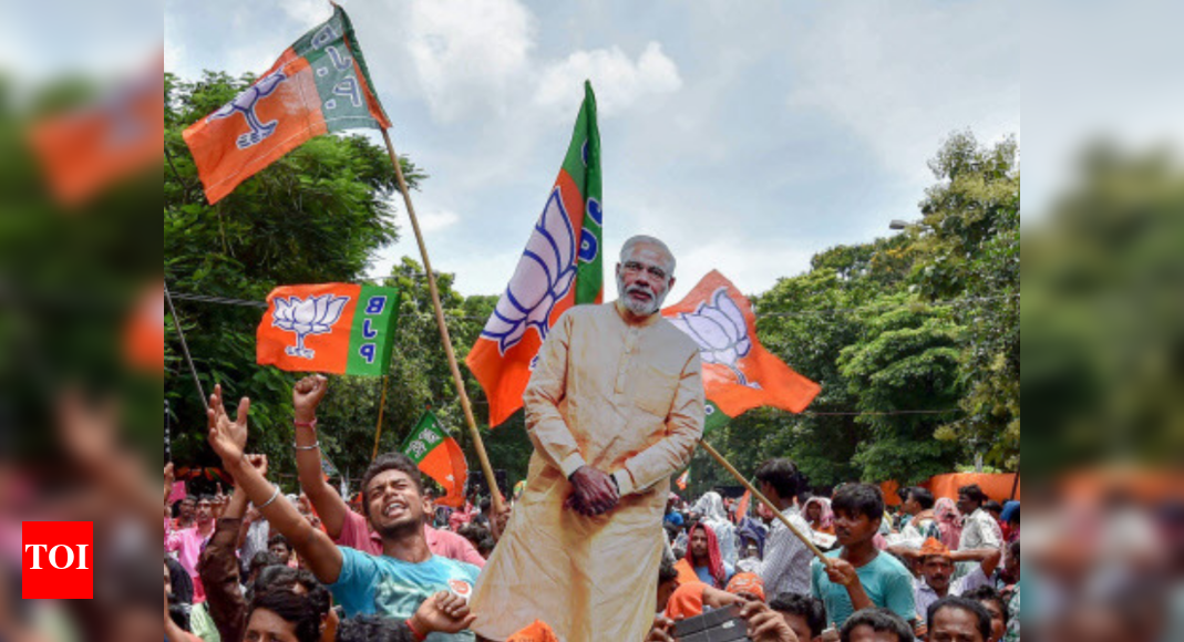 BJP to set the party line for 2019 LS polls at national executive ...