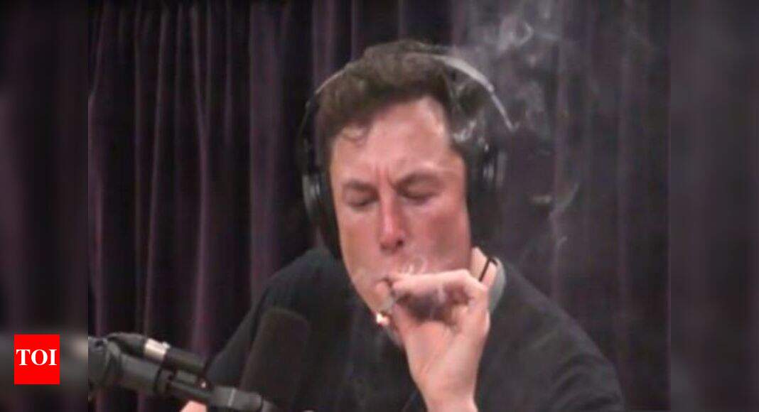 Tesla CEO Elon Musk smokes weed on live webcast - Times of India