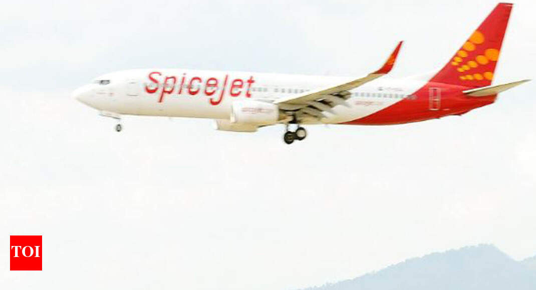SpiceJet stops hot meals for pilots to curb wastage | Mumbai News ...
