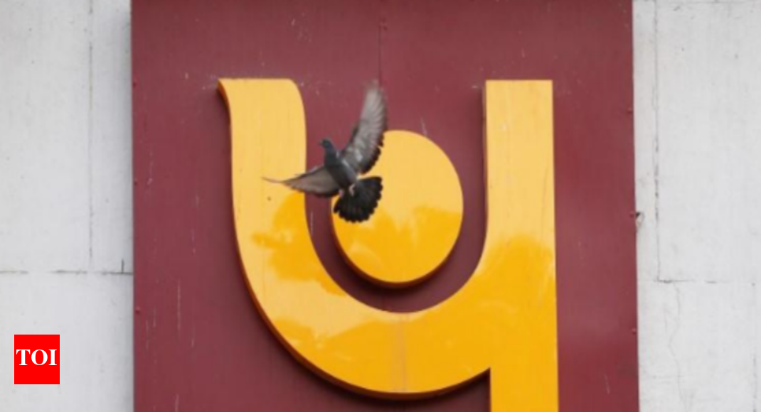 Purvi Modi: PNB fraud: Interpol issues red notice against Nirav Modi's ...