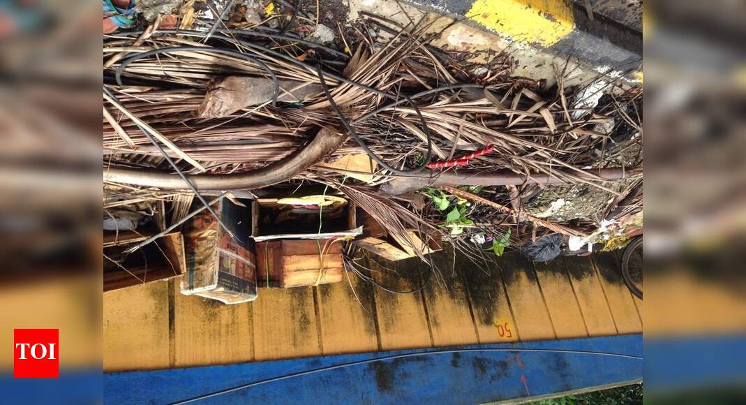 garbage lying unattended for months - Times of India