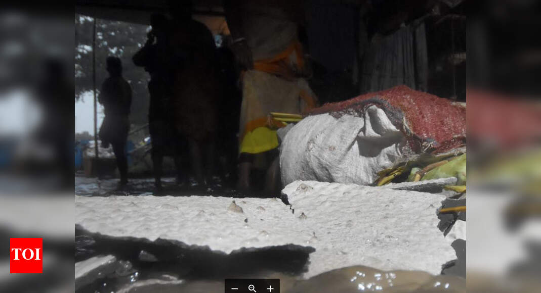 Chunk From Chetla Bridge: Kolkata: Chunk from Chetla bridge falls ...