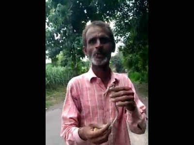 Drunk man in UP eats live snake, dies; video goes viral | Bareilly News ...