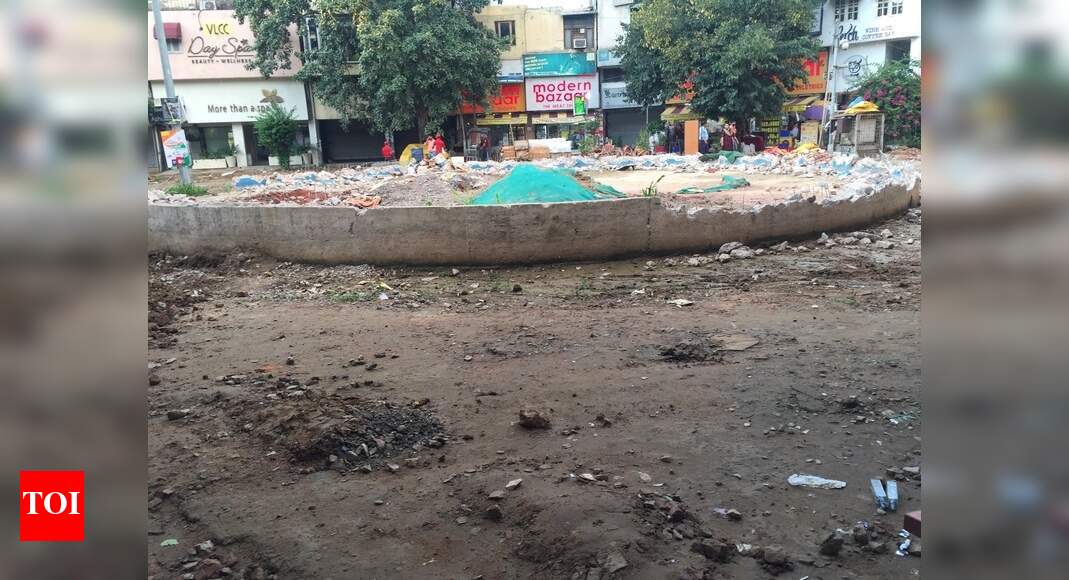 Mess created by SDMC - Times of India