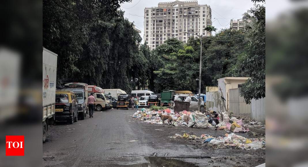 road menace and garbage disposal - Times of India