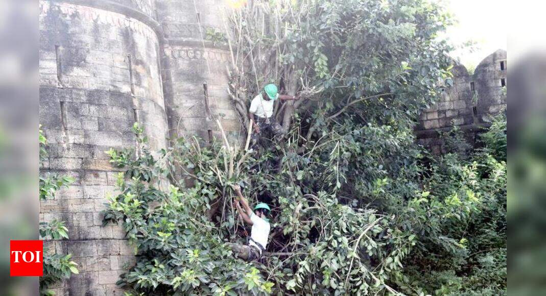 Chanda fort wall defaced, cases registered against biz houses | Nagpur ...