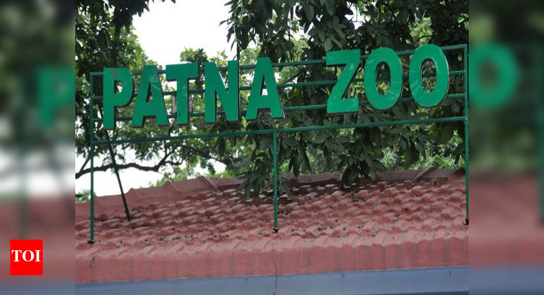 Zoo to offer tour guides, cycling facility to visitors | Patna News ...