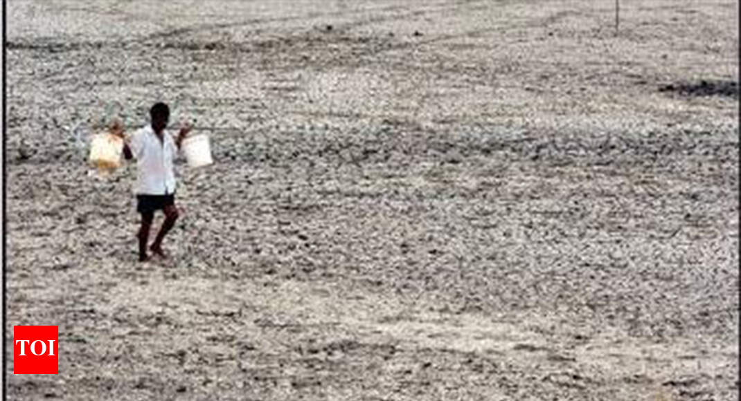 Karnataka news: Rain-deficit 23 districts of Karnataka declared drought ...
