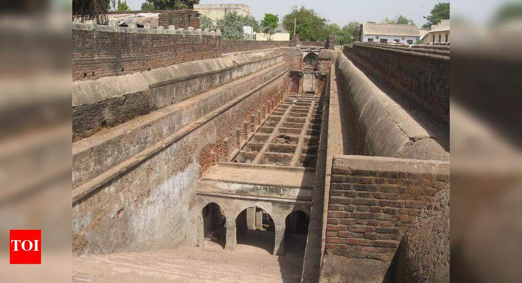 Borsad: A Vav in the middle of a historic town | Ahmedabad News - Times ...