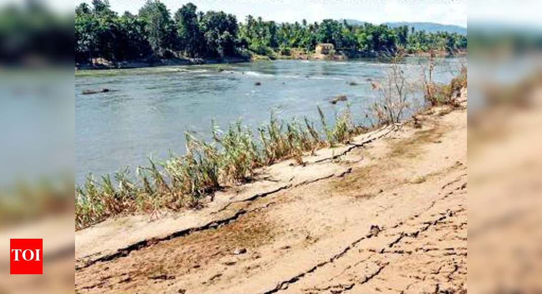 After the deluge, Kerala’s next crisis: Dying earthworms | India News ...