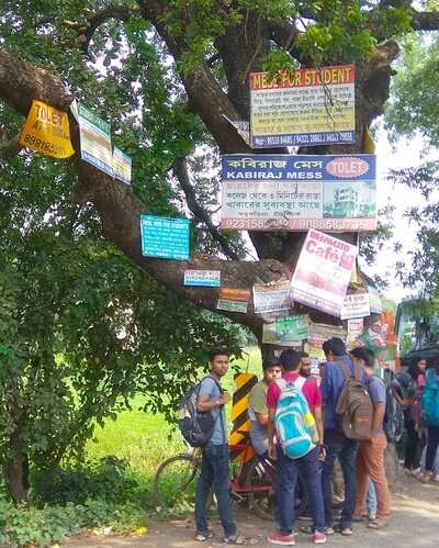 Advertisement on Trees - Times of India