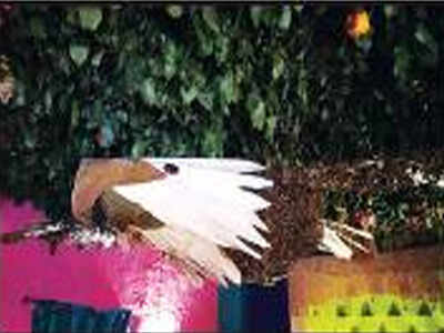 This Bethora Ganesha ‘matoli’ has 400 items | Goa News - Times of India