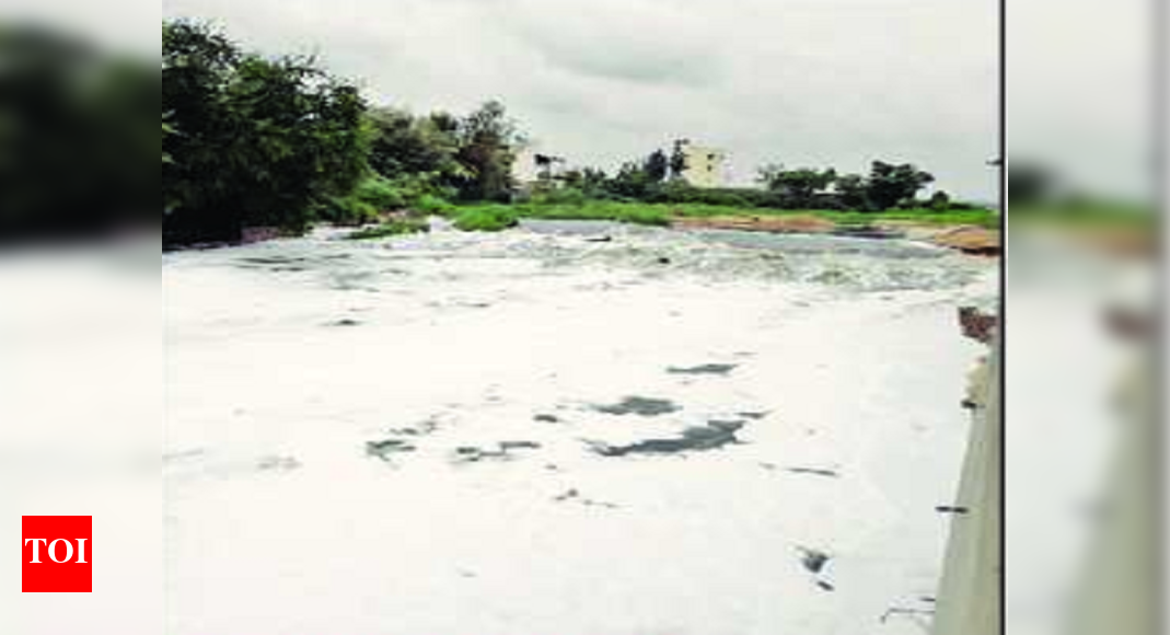 Varthur Lake froths again, irks residents | Bengaluru News - Times of India