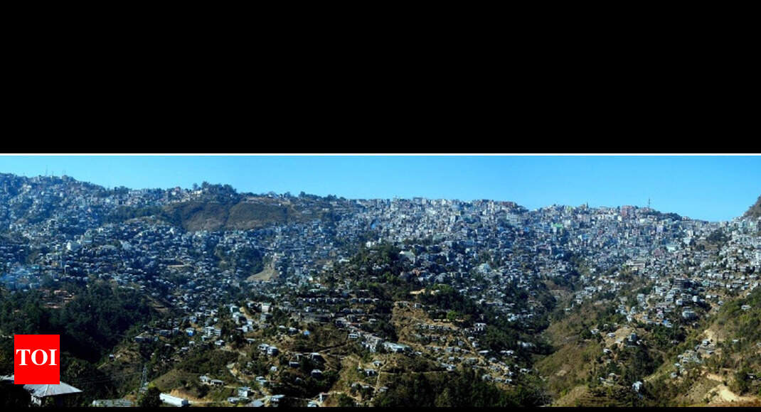famine in Mizoram: Return of beetles that bring famine and topple ...