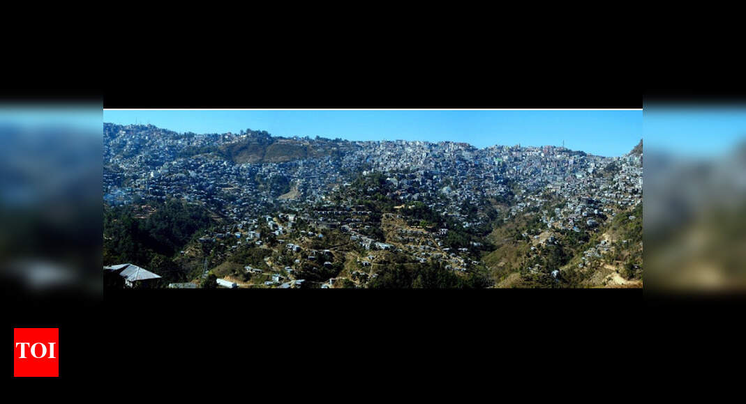 Famine In Mizoram: Return of beetles that bring famine and topple ...