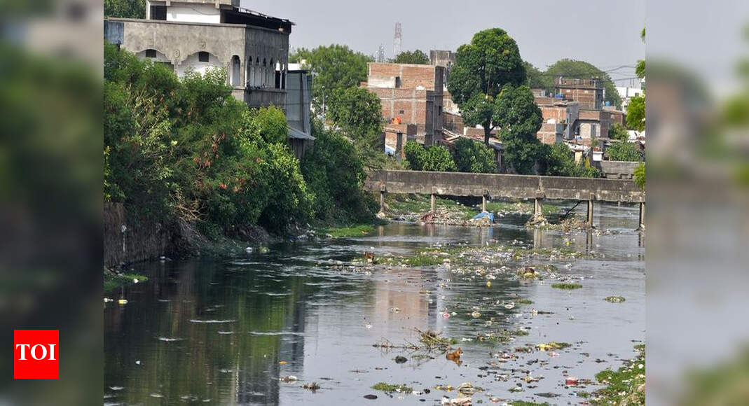 Plan to reserve lands along Nag River draws protest | Nagpur News ...