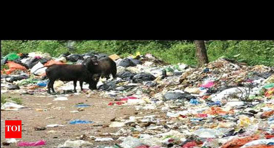 Garbage dumping around Old Goa’s heritage monuments upset locals | Goa ...