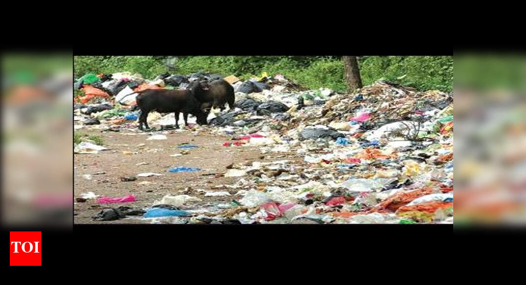 Garbage dumping around Old Goa’s heritage monuments upset locals | Goa ...