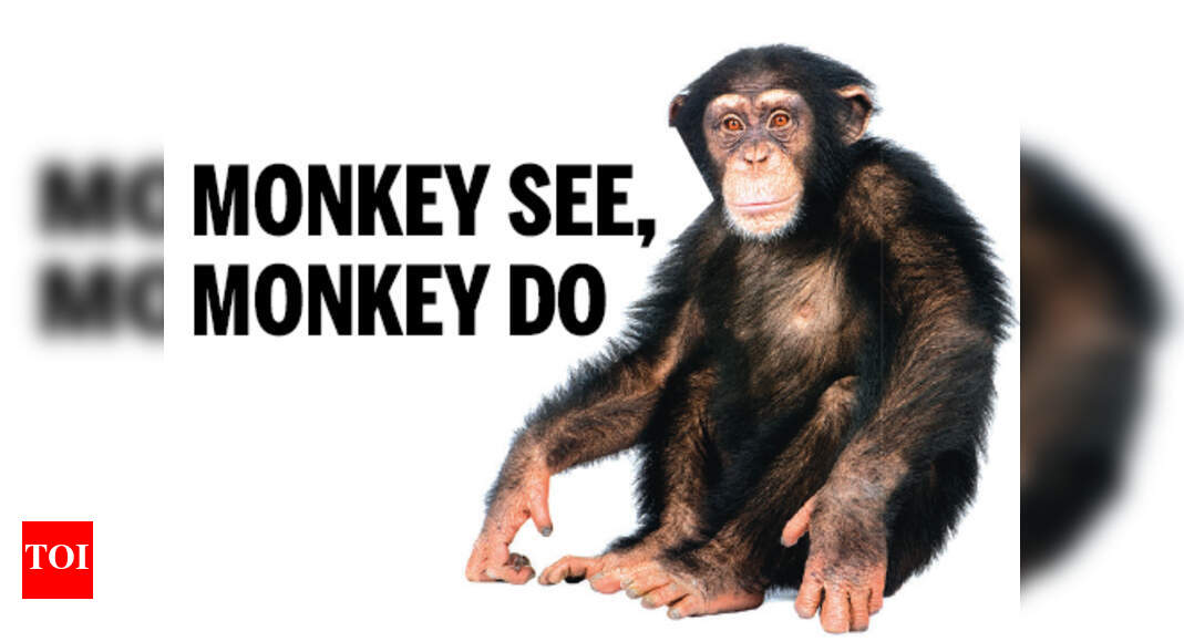 Infographic: Why we behave like monkeys at the zoo | India News - Times ...