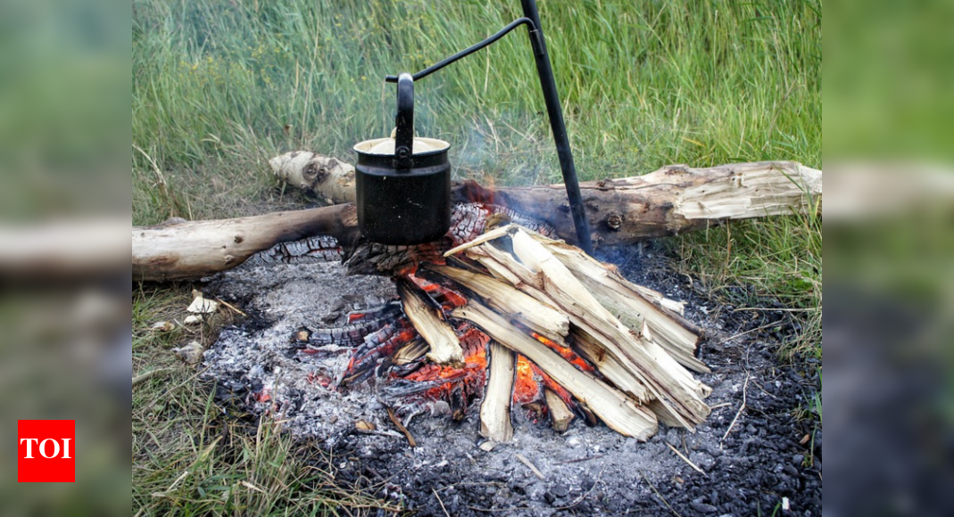 Cooking with wood, coal ups respiratory illness risk - Times of India